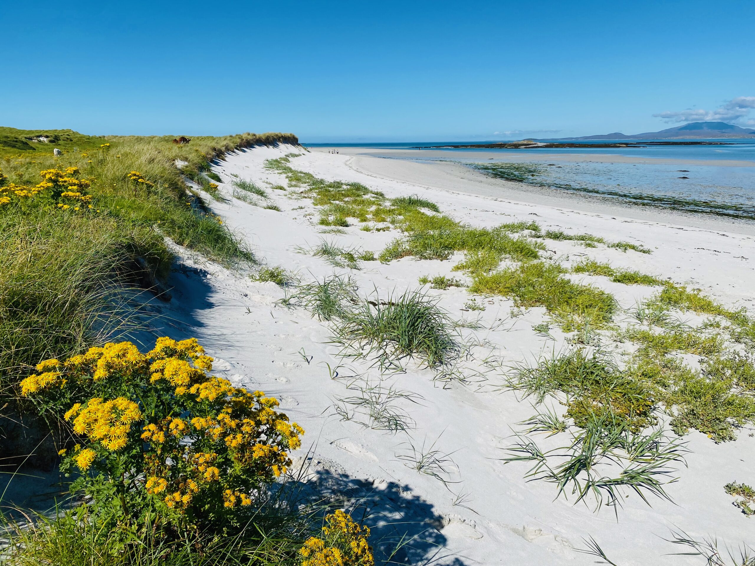 67. Eoligarry Beach - Scottish Beach Project
