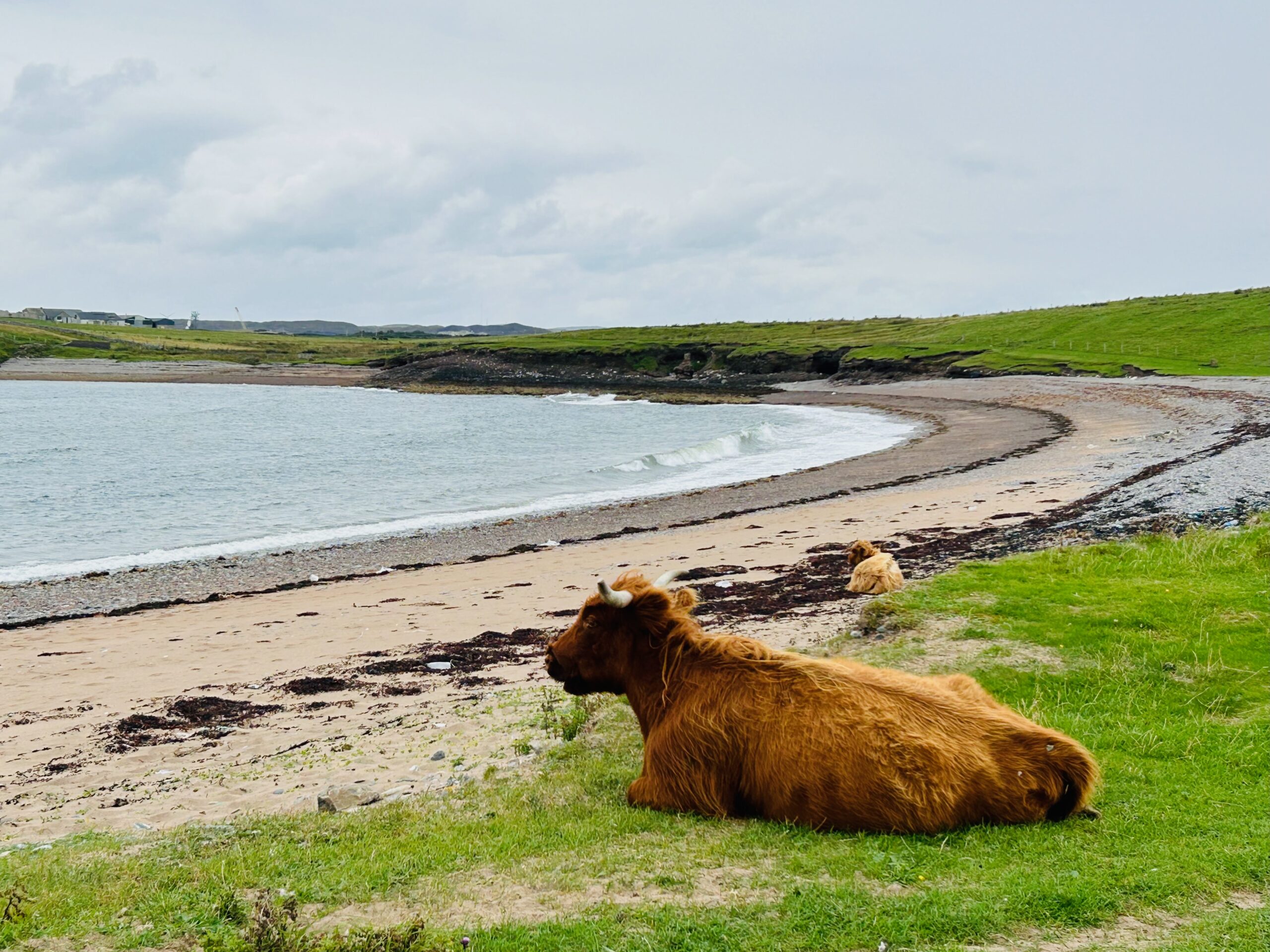 154. Holm Beach - Scottish Beach Project