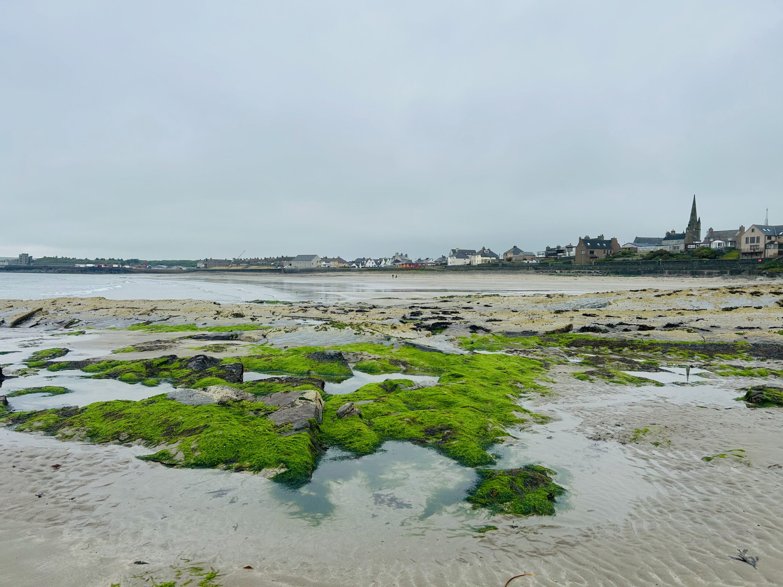 184. Thurso Beach - Scottish Beach Project