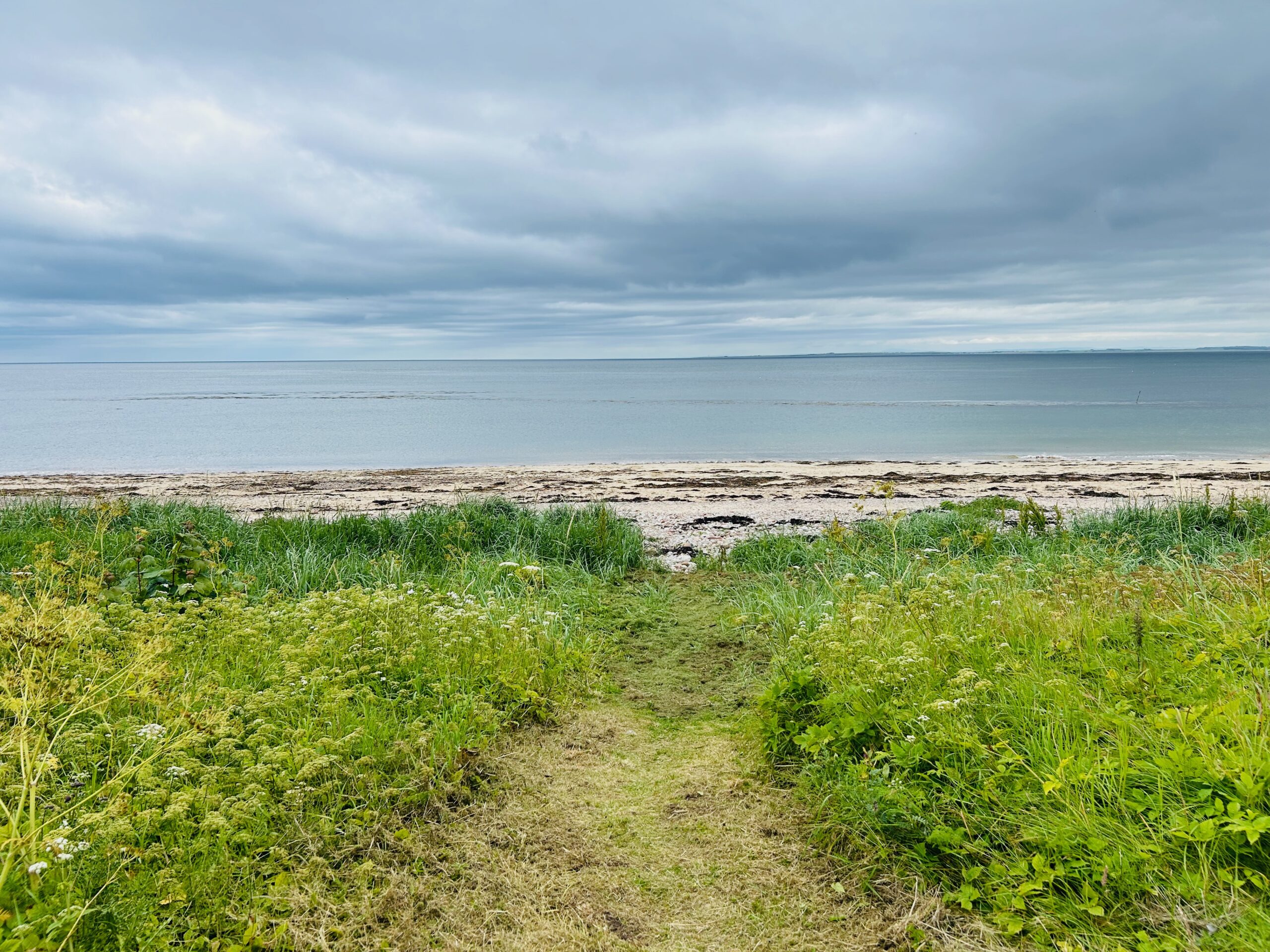 188. Golspie Beach - Scottish Beach Project