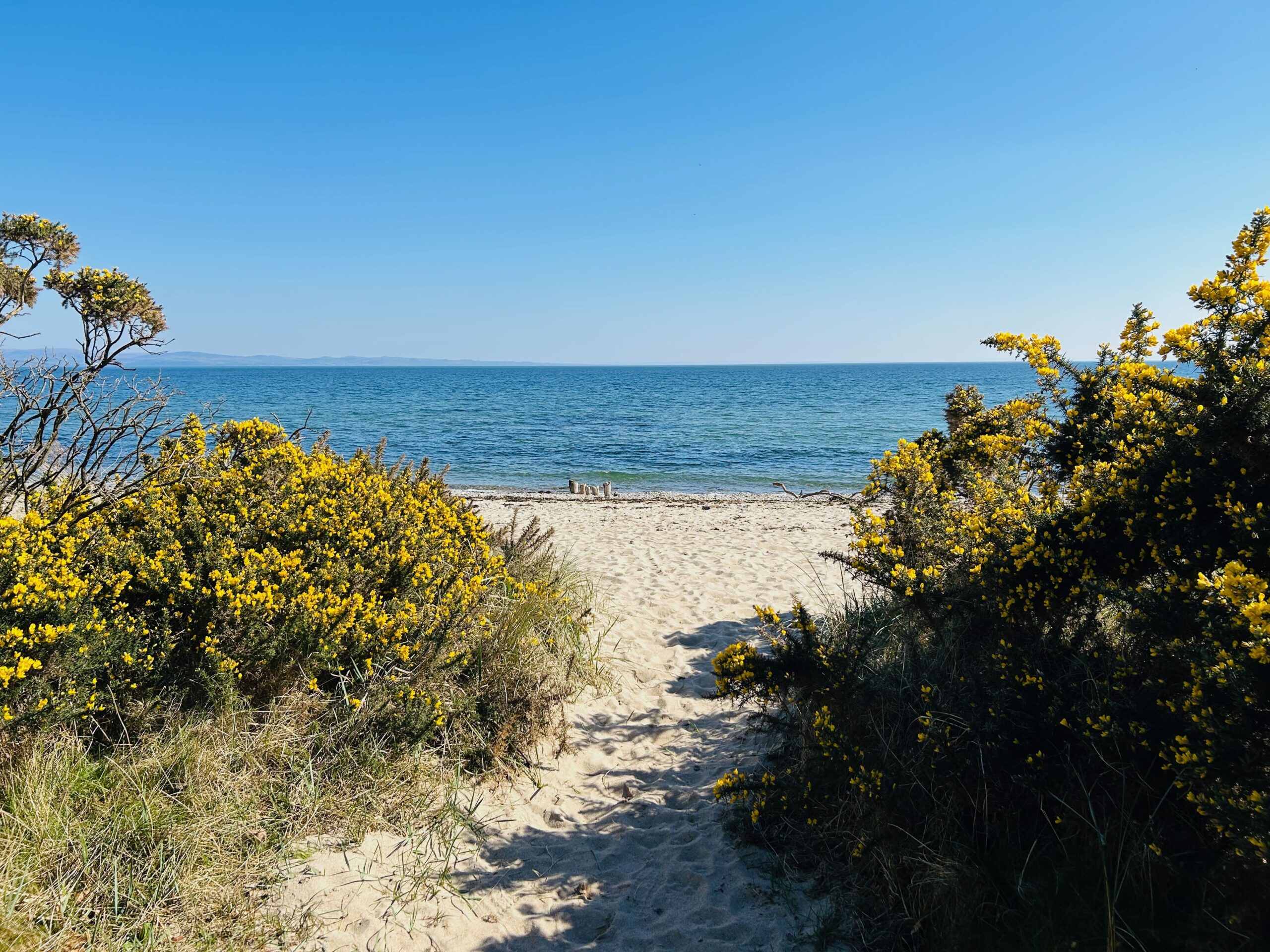236. Sannox Bay - Scottish Beach Project